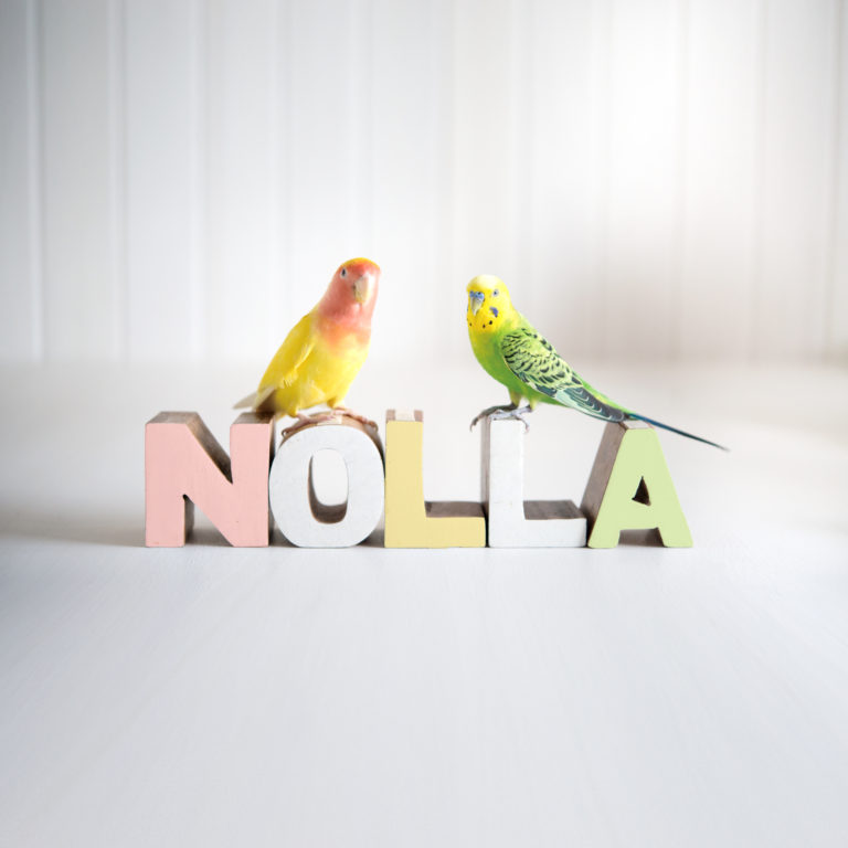 000 – nolla studio.